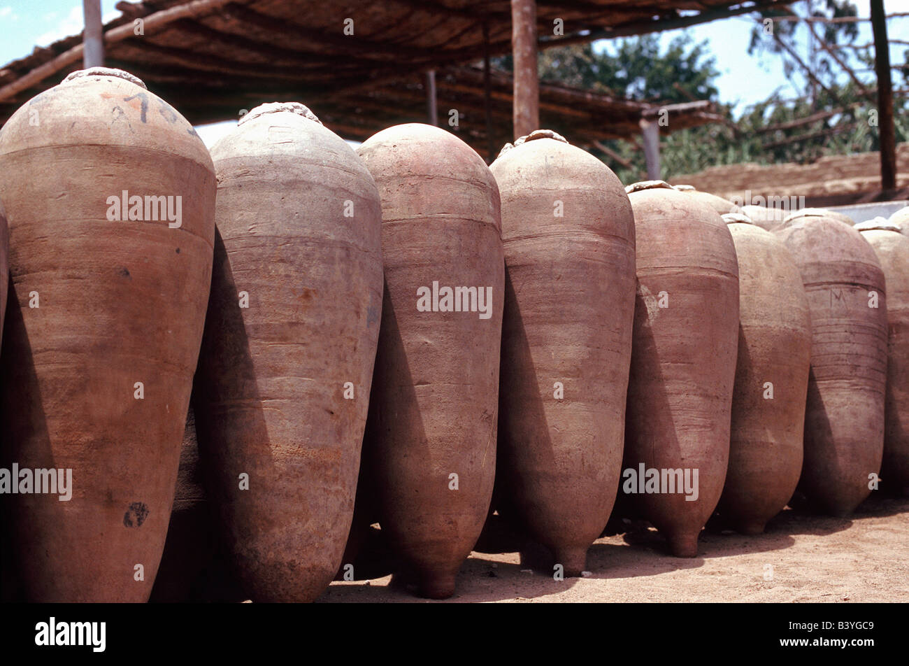 Rows of pisqueras (earthen jars) at the Bodega El Catador on the ...