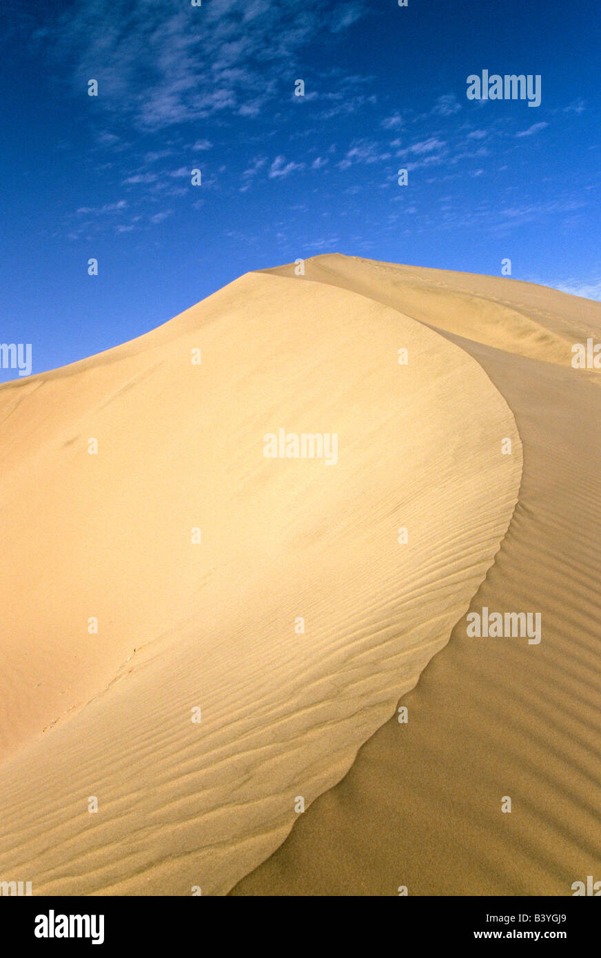 A giant sand curves upwards in the Peruvian coastal desert, near Ica in ...