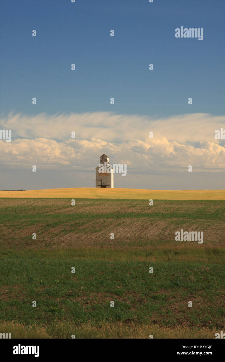 Grain elevator at Kindersley area, Saskatchewan Stock Photo - Alamy