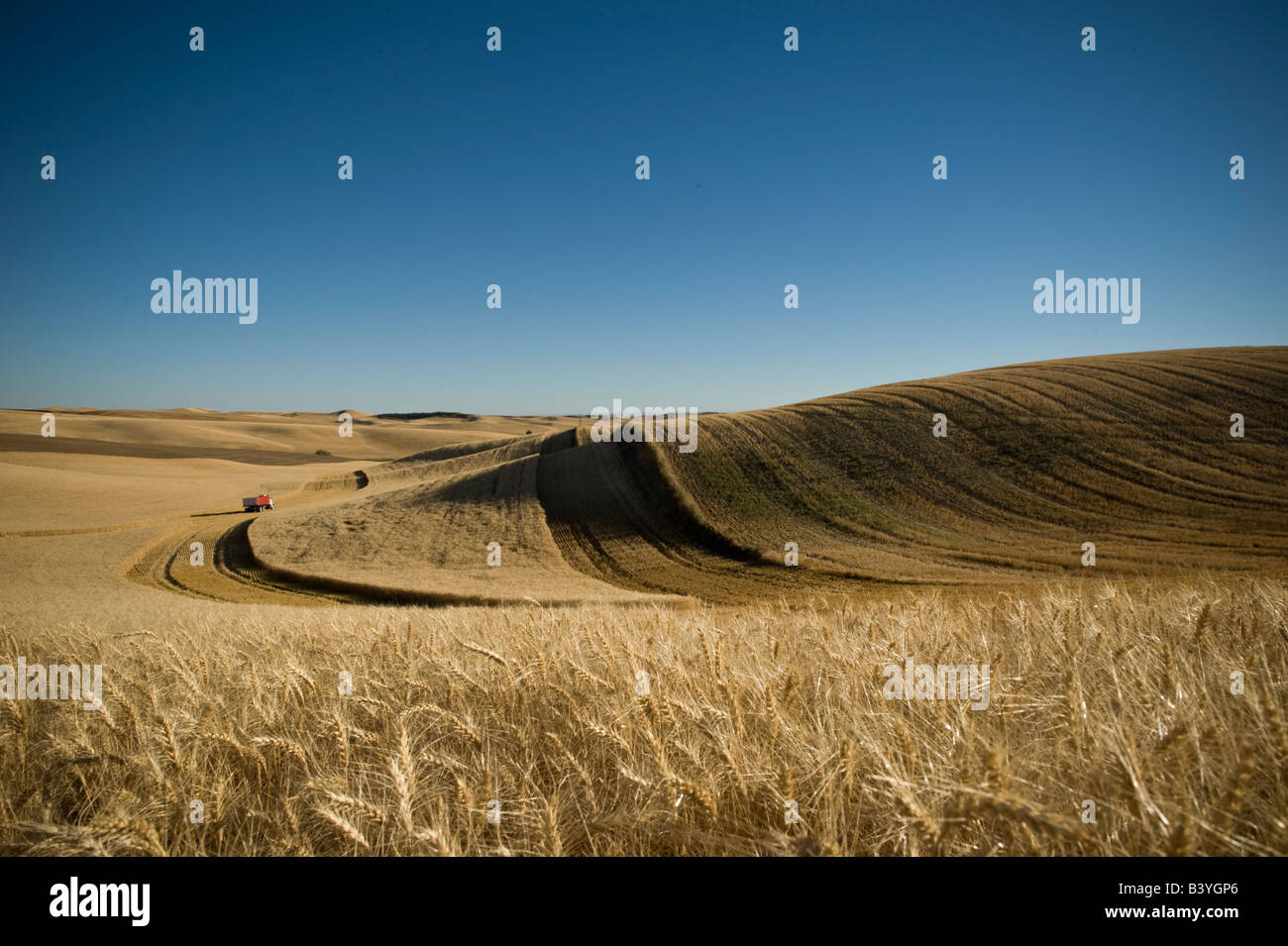 Wheat Harvest in Palouse, Washington, USA Stock Photo - Alamy
