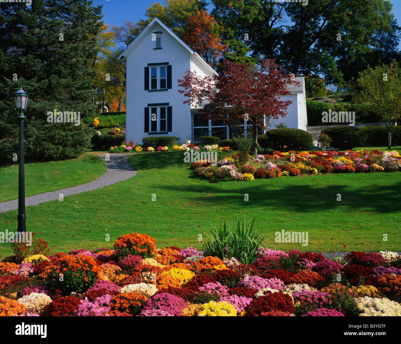 USA, New York, Saugerties. Chrysanthemums on display in front of house ...