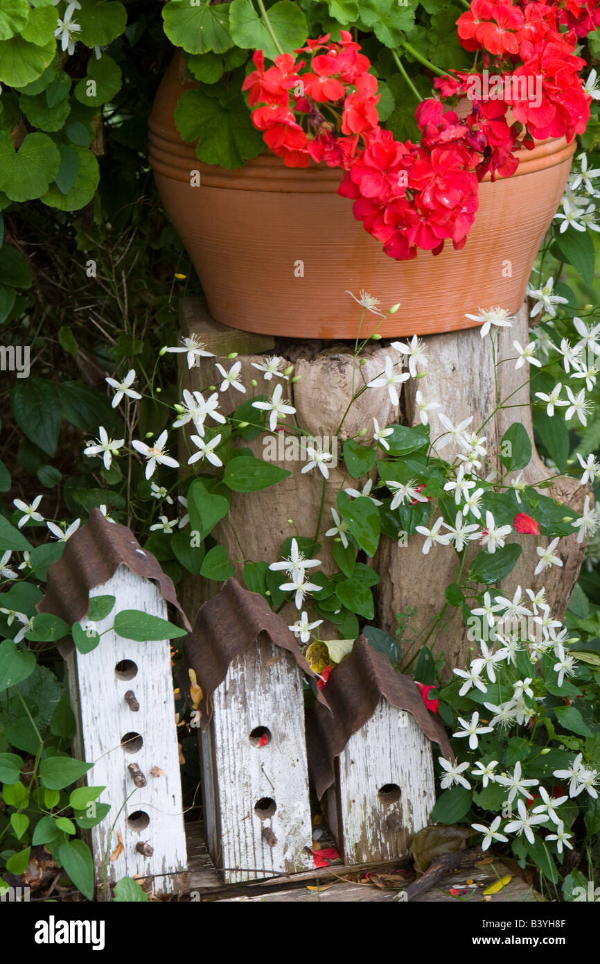 Backyard garden display Stock Photo - Alamy