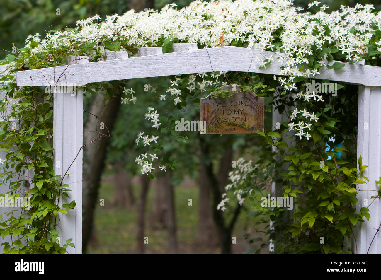 Backyard garden display Stock Photo - Alamy