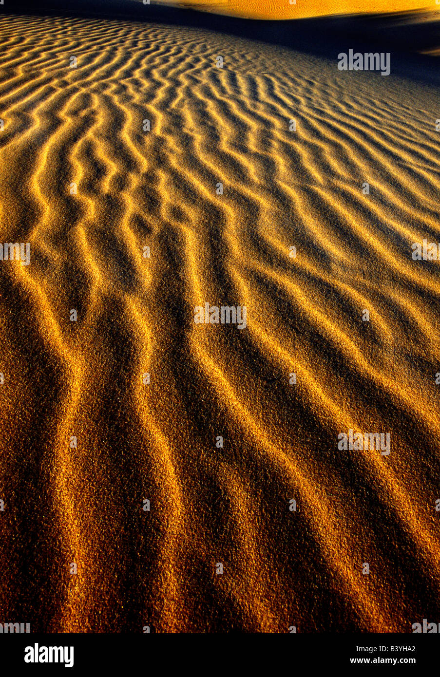 USA, Oregon, Oregon Dunes National Recreation Area. Dune pattern ...
