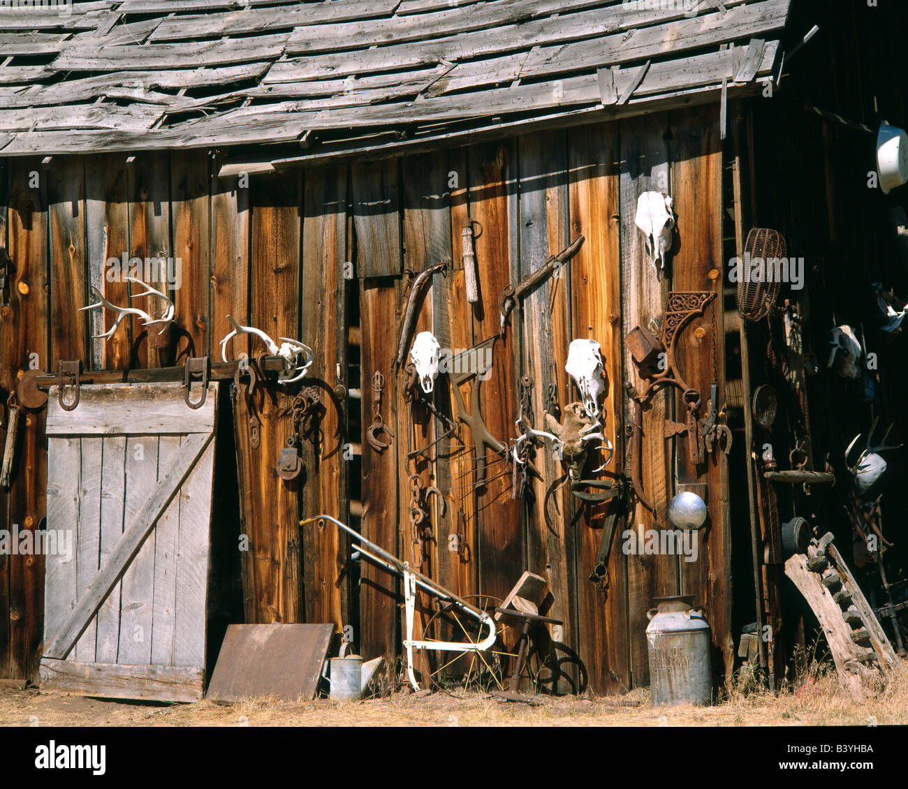 USA, Oregon, Harney County. Old livery stable barn with animal skull ...