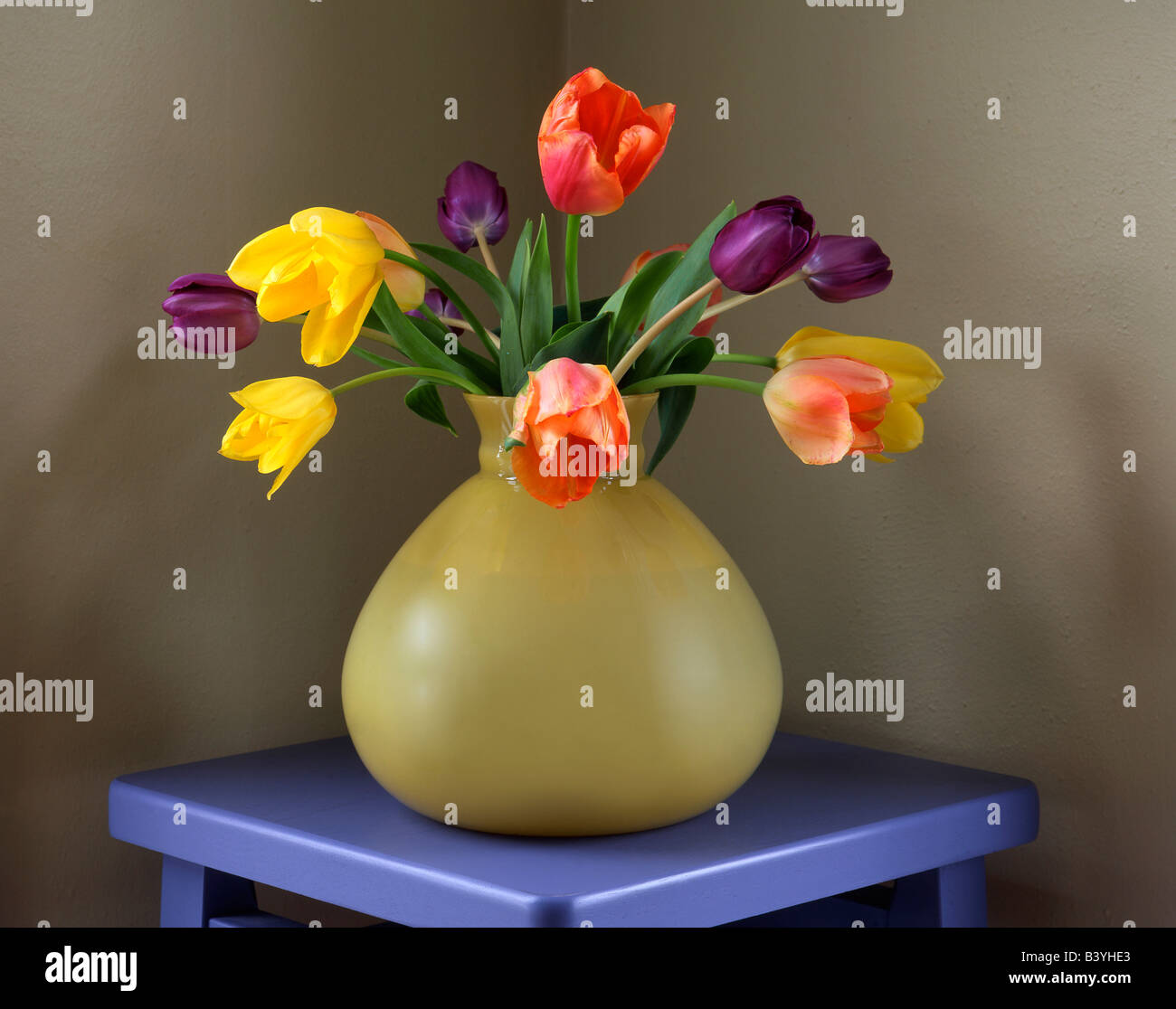 USA, Oregon, Portland. Fresh-cut tulips in antique glass vase Stock ...