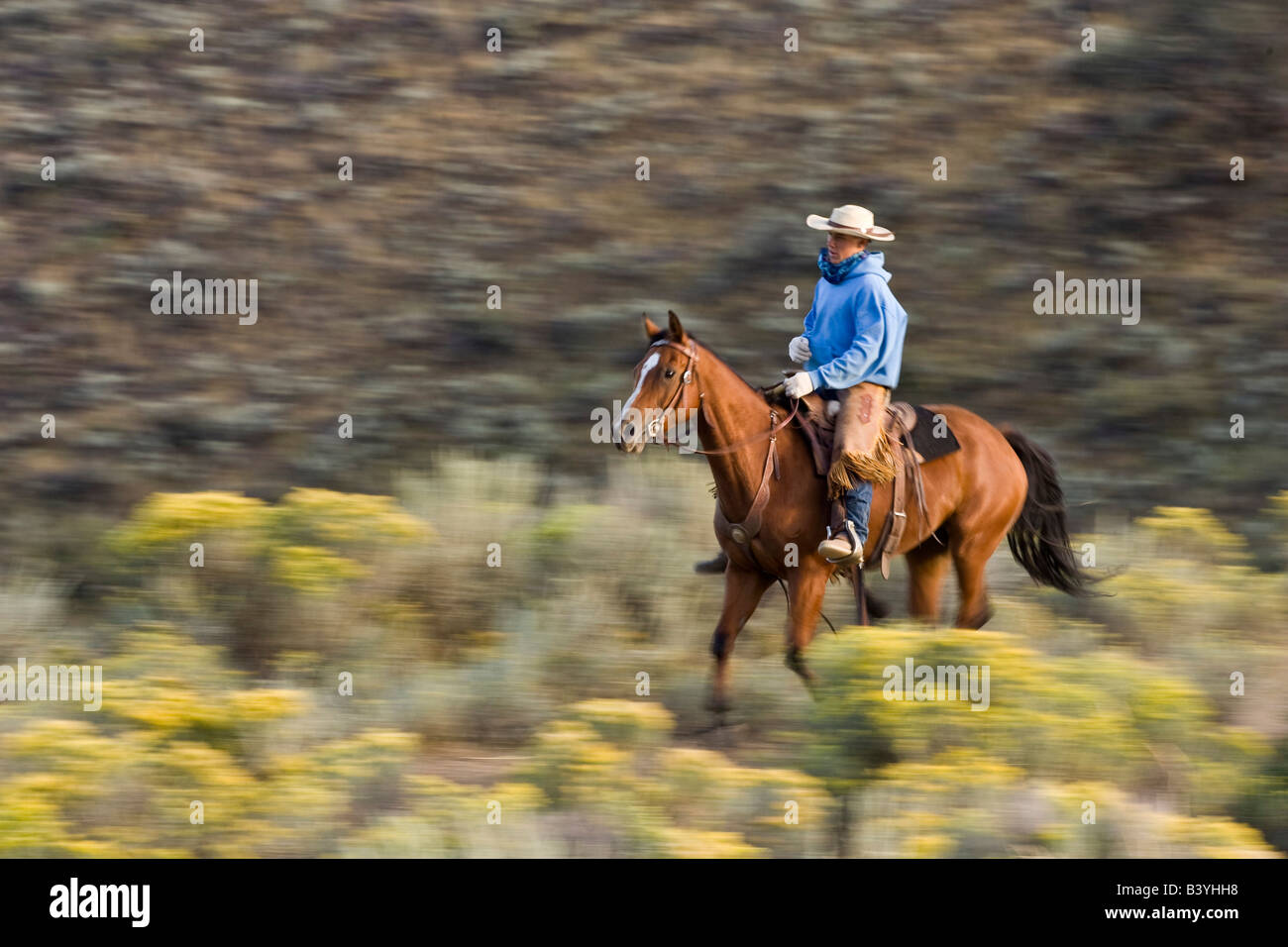 USA, Oregon, Seneca, Ponderosa Ranch. A cowboy on horseback riding ...