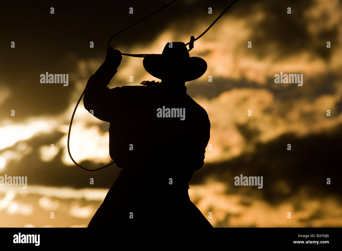 Silhouette cowboy on horse lasso hi-res stock photography and images ...