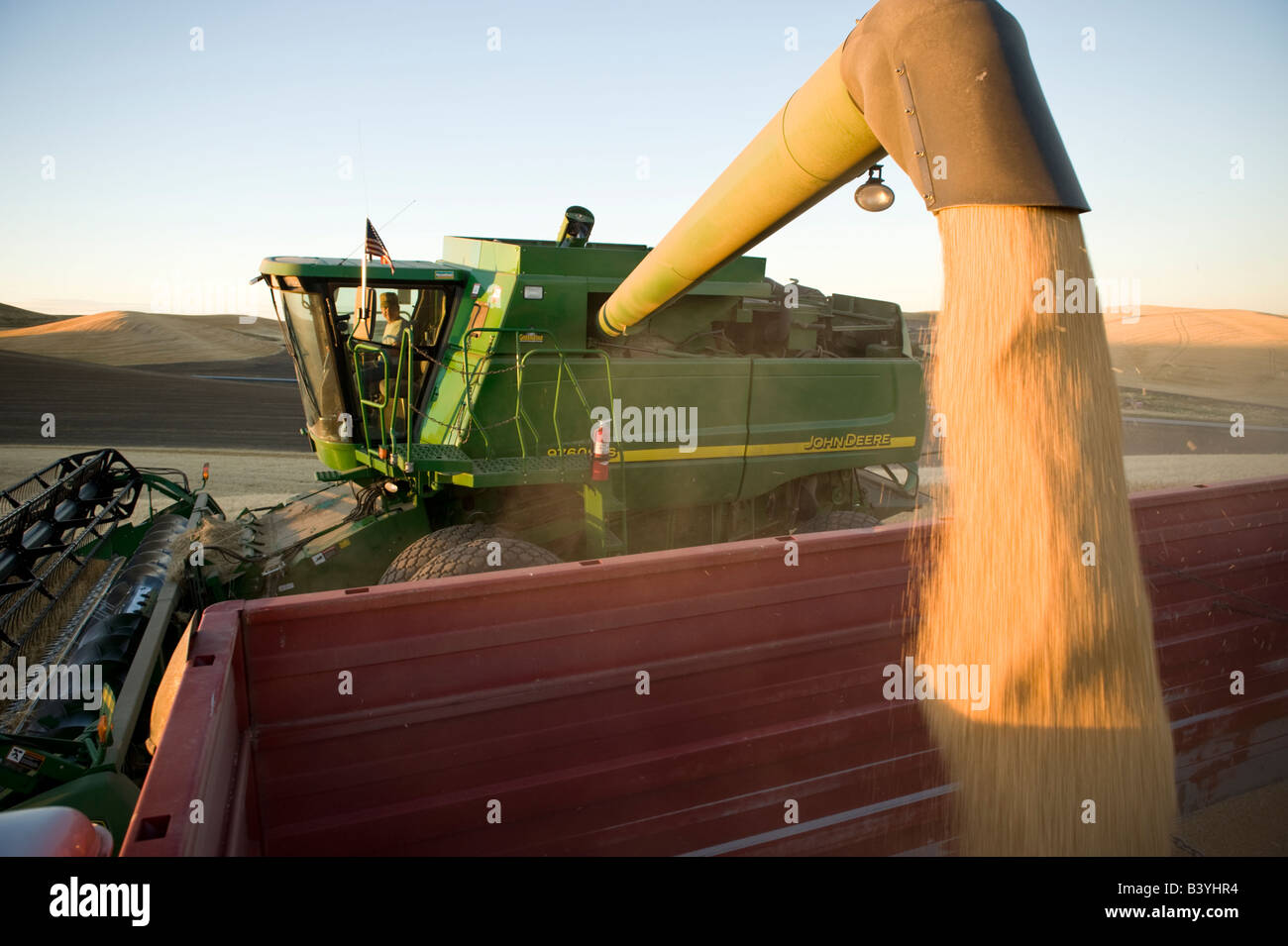 Wheat Harvest in Palouse, Washington, USA Stock Photo - Alamy