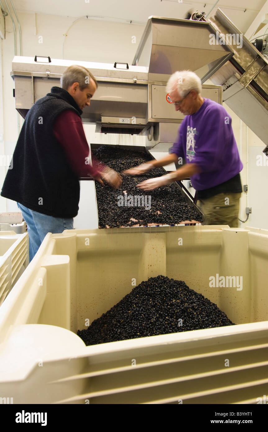 NA; USA; Oregon; Willamette Valley; Carlton, Raptor Ridge Winery, Wine ...