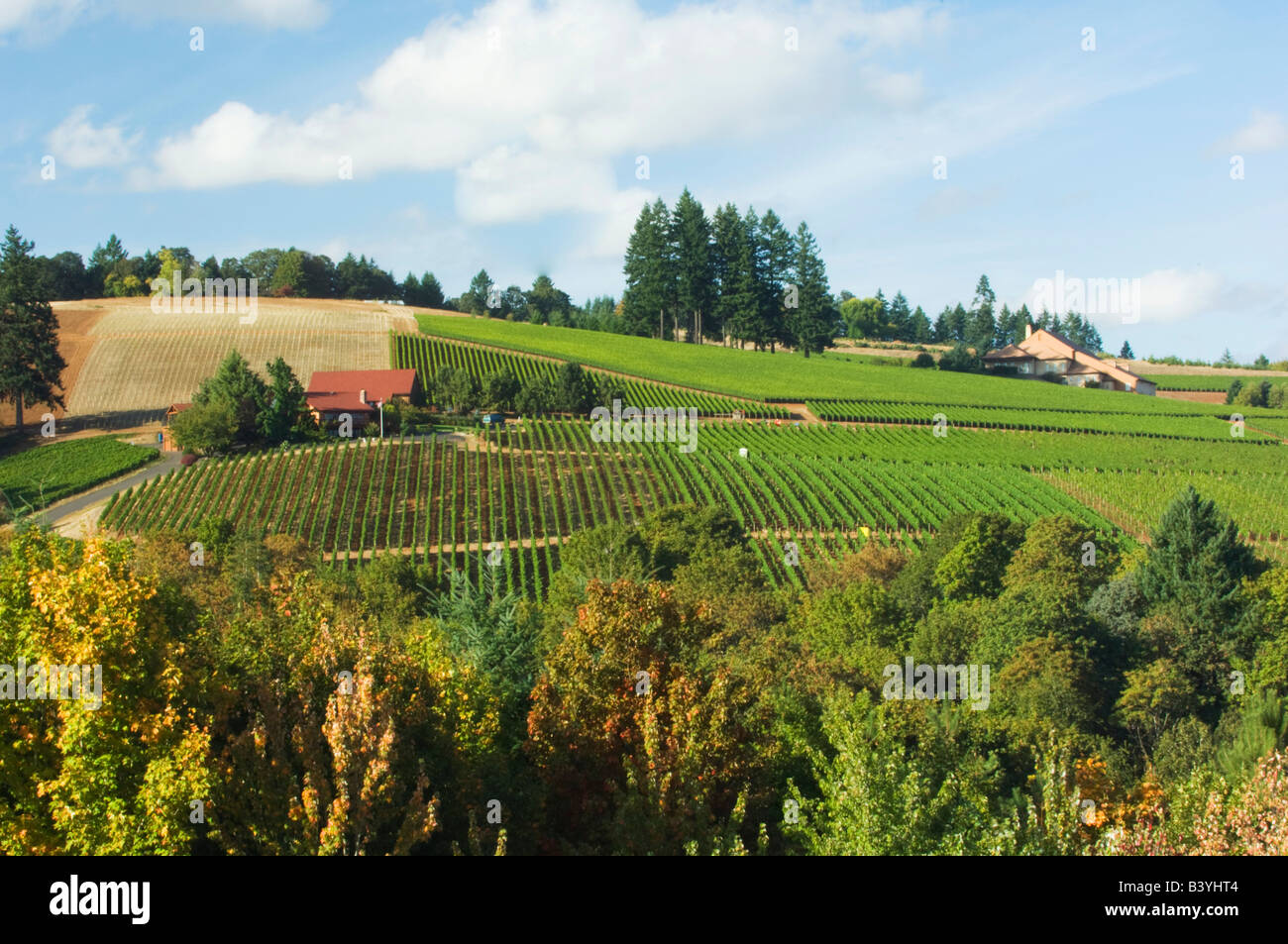 NA; USA; Oregon; Willamette Valley; Dundee; Red Hills; Domaine Drouhin ...