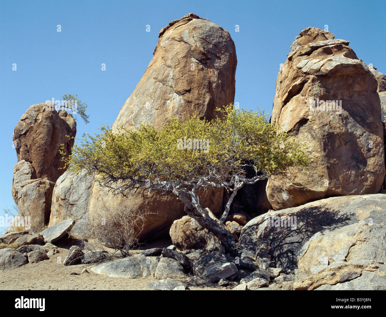 Namibia, Central Namib Desert, Kobos. An outcrop of huge boulders with ...