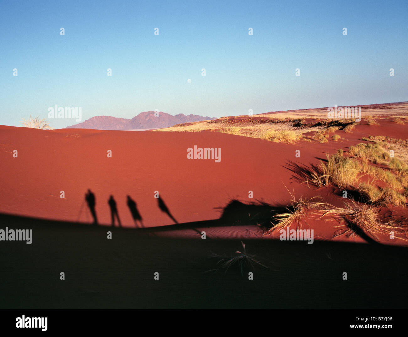 Namibia, Namib Desert, Wolwedans. At sunrise, long shadows are cast ...