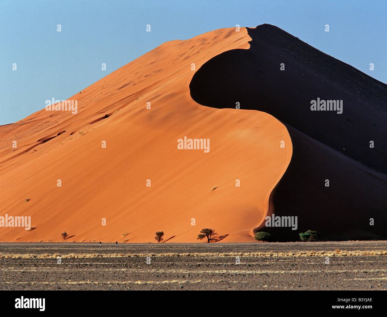 Namibia, Namib Desert, Sesriem. In early morning and late afternoon ...