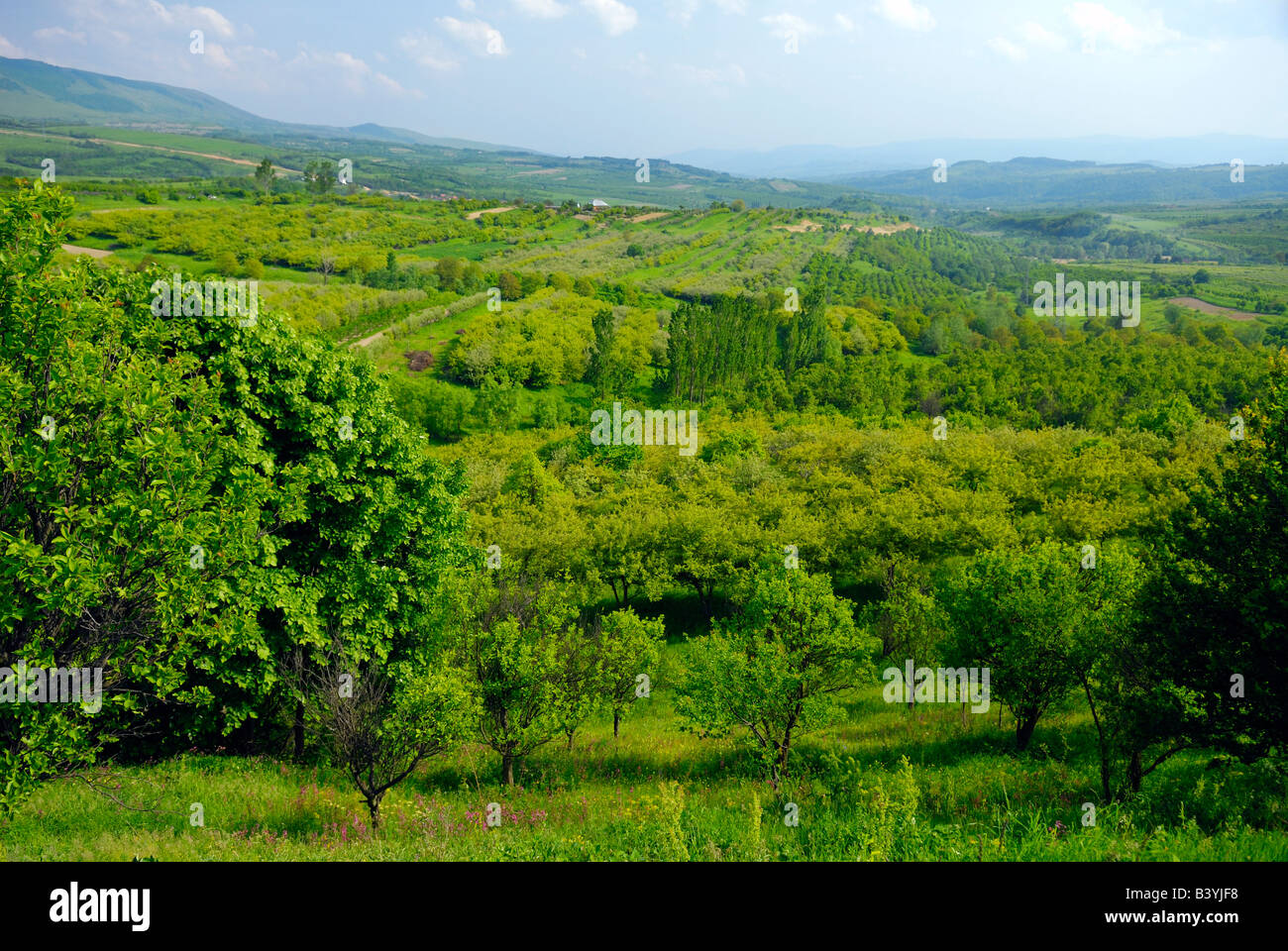 Lush green countryside in Transylvania Romania Stock Photo - Alamy