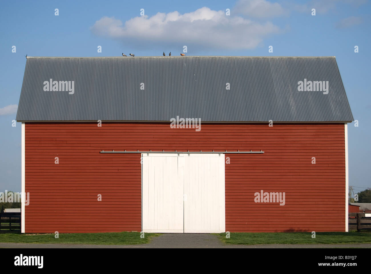Red shed with closed white doors Stock Photo - Alamy