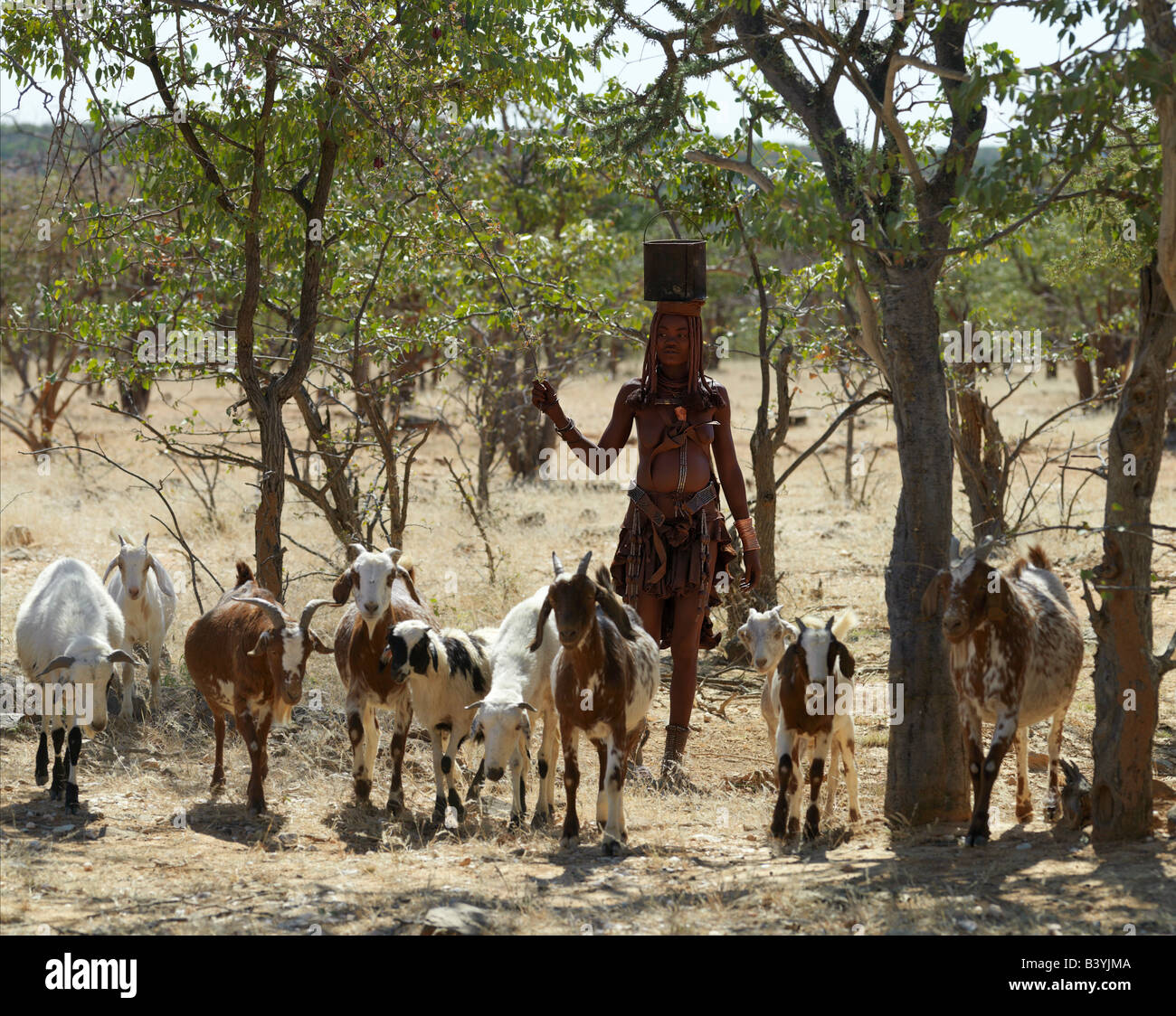 Namibia, Kaokoland. A Himba woman drives her family's goats through ...