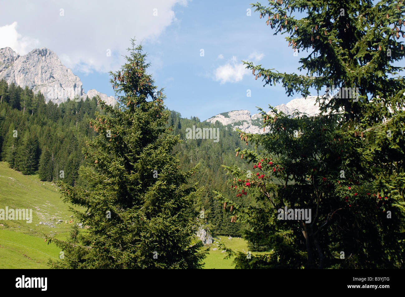 Austria Upper Austria Almtal valley Lake Alm Stock Photo - Alamy