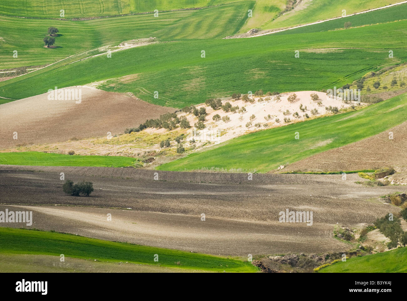 Countryside, Andalucia, Spain Stock Photo - Alamy