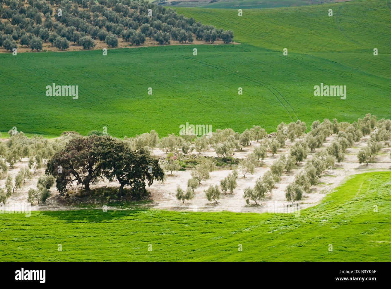 Countryside, Andalucia, Spain Stock Photo - Alamy