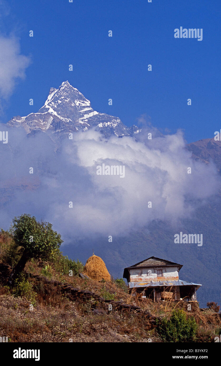 Nepal, Annapurna. Hillside house with the fishtail peak of ...
