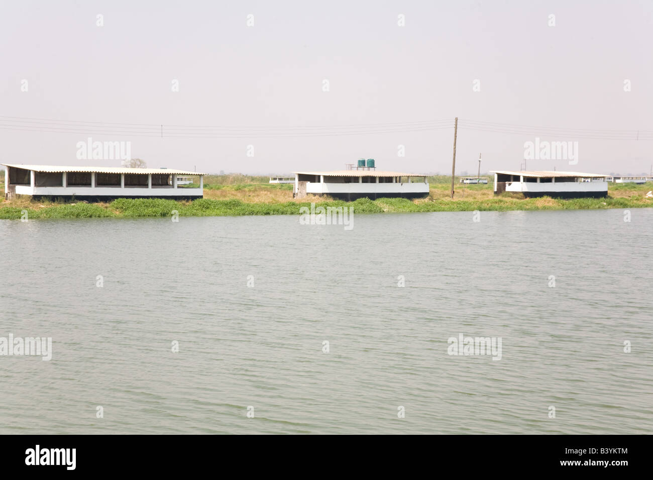 Africa fish farming hi-res stock photography and images - Alamy