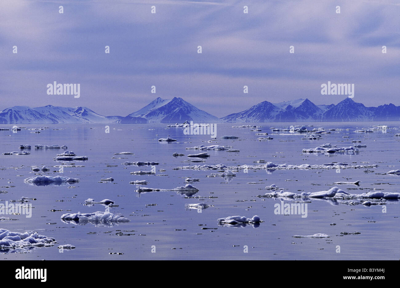 Norway, Svalbard, Spitsbergen. Fragments of pack ice floating off the ...