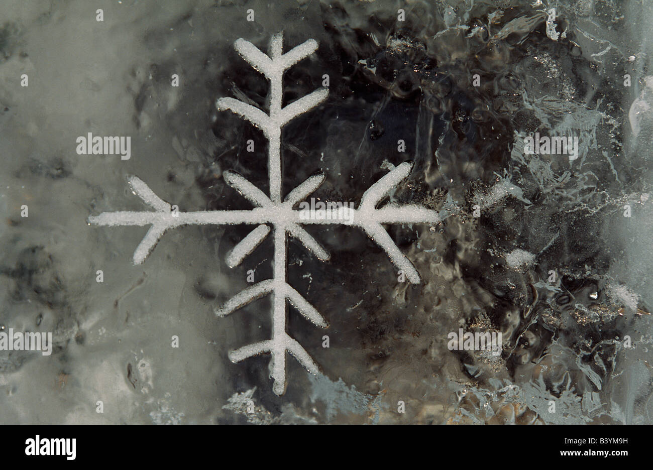 Snow flake emblem carved into ice wall at the Alta Ice Igloo Hotel ...