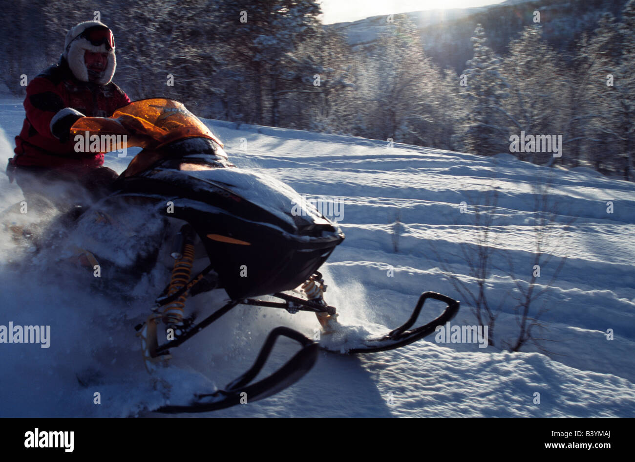 Snow mobile at speed in deep snow between birch trees near Alta, Arctic ...