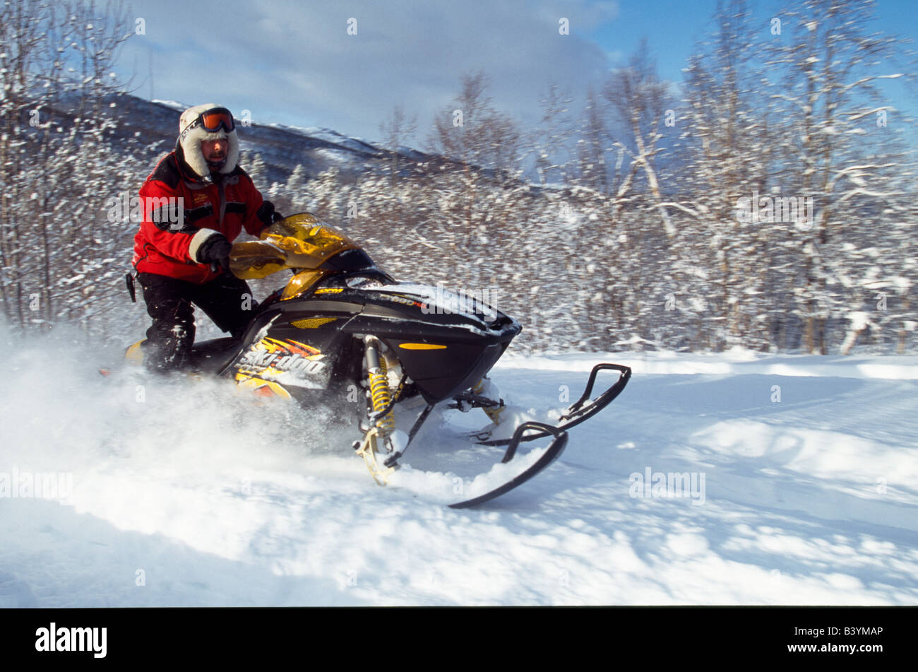 Alta norway trees hi-res stock photography and images - Alamy