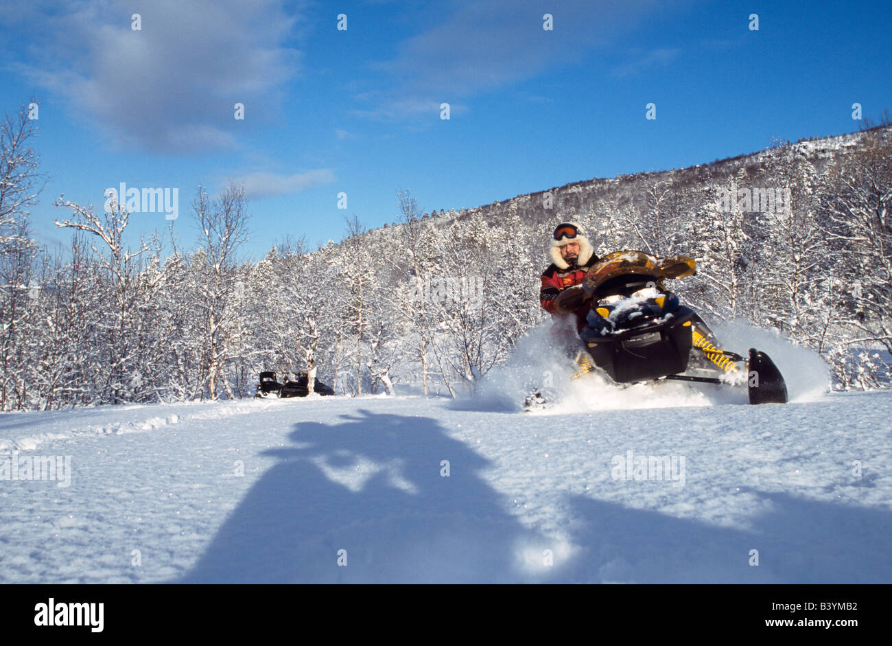 Snow mobile at speed in deep snow between birch trees near Alta, Arctic ...