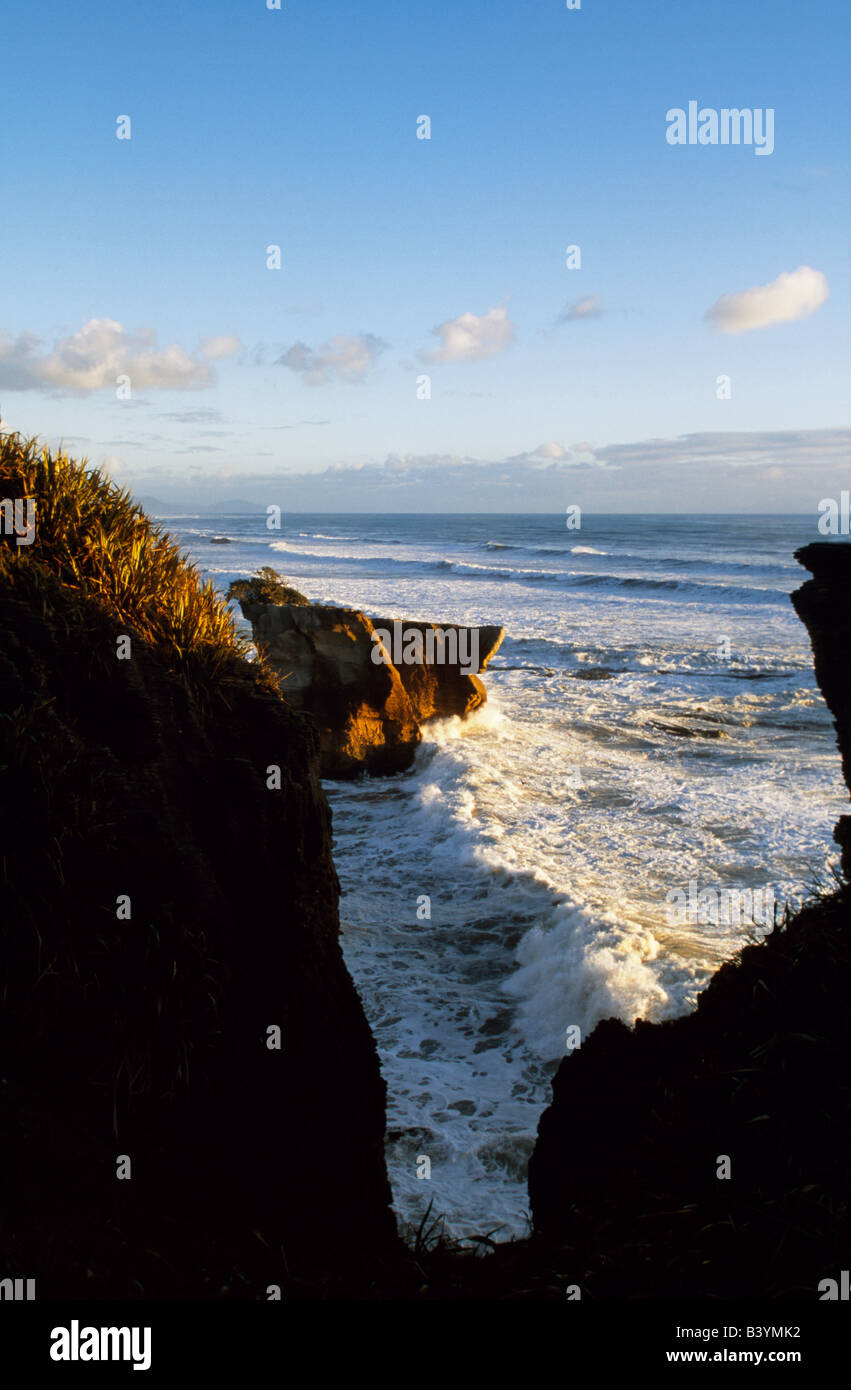 New Zealand, South Island, Paparoa National Park. Exposed sedimentary ...