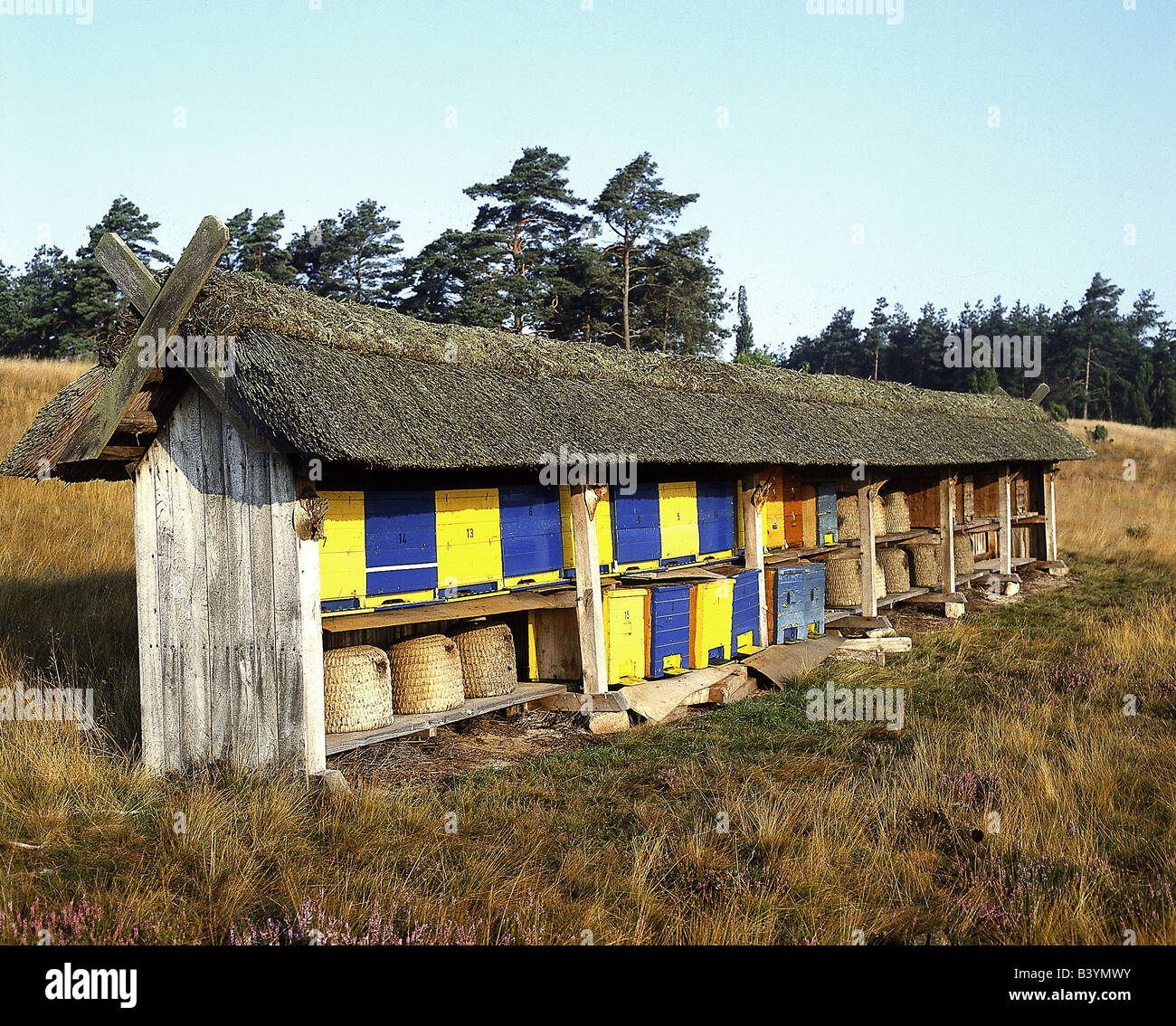 zoology / animals, insect, bees, (Apis mellifera), bee house ...