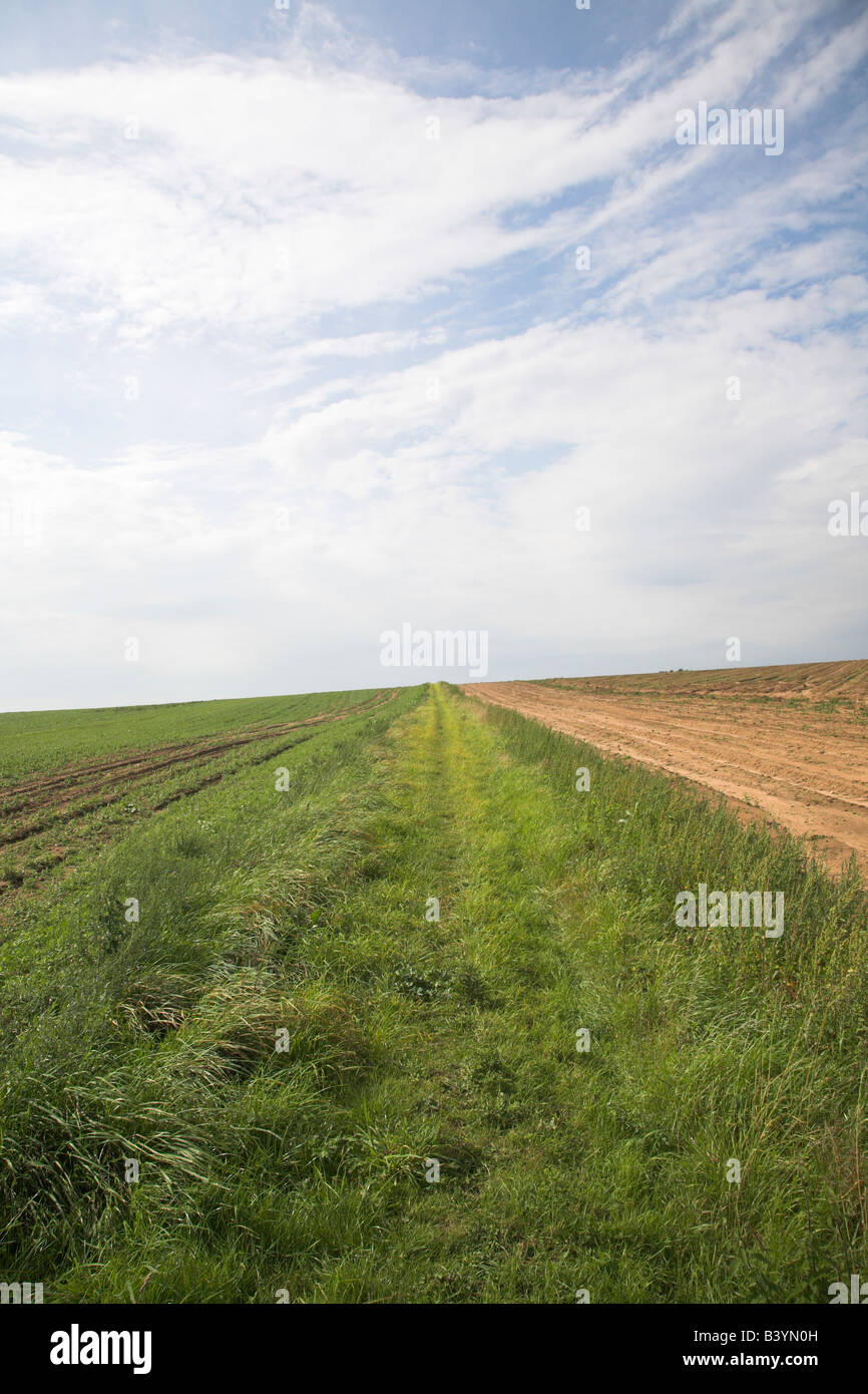 East Anglia landscape with clouds and fields Stock Photo - Alamy