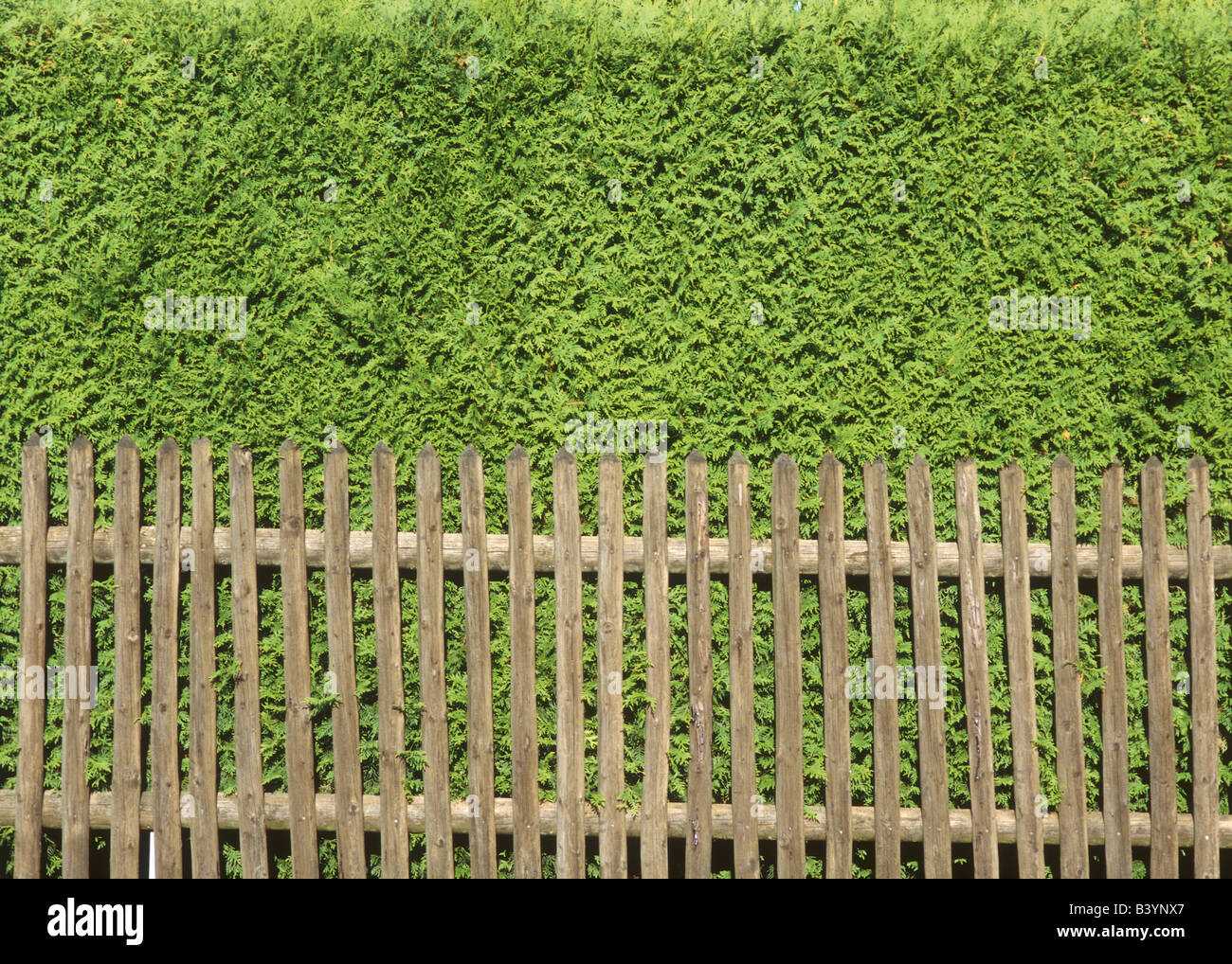 Hedge and fence Stock Photo - Alamy