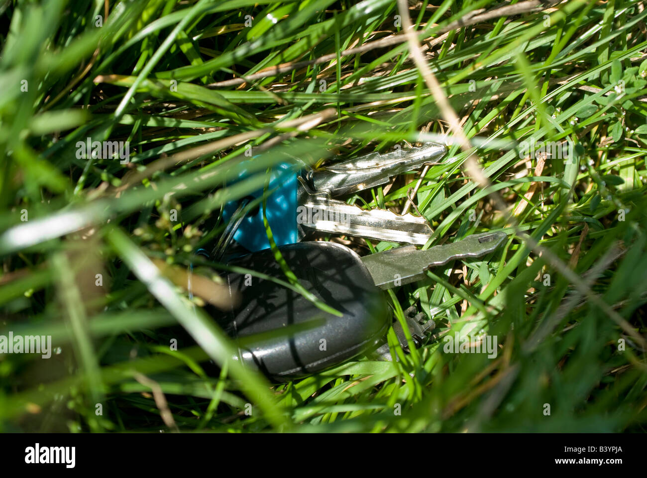 Bunch of keys dropped and lost in grass Stock Photo - Alamy