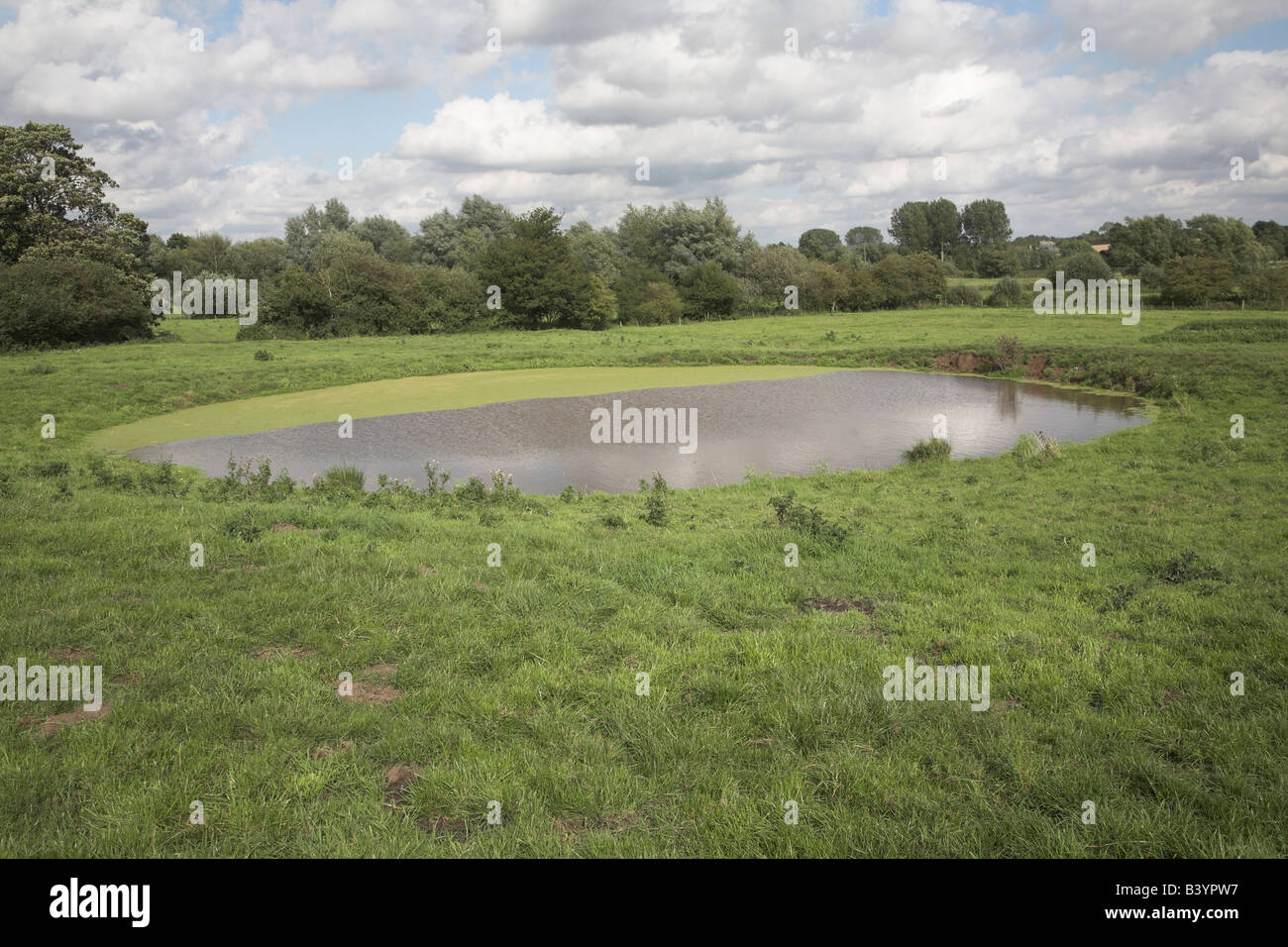 Spring fed dew pond in field of gently sloping valley, near Eye ...