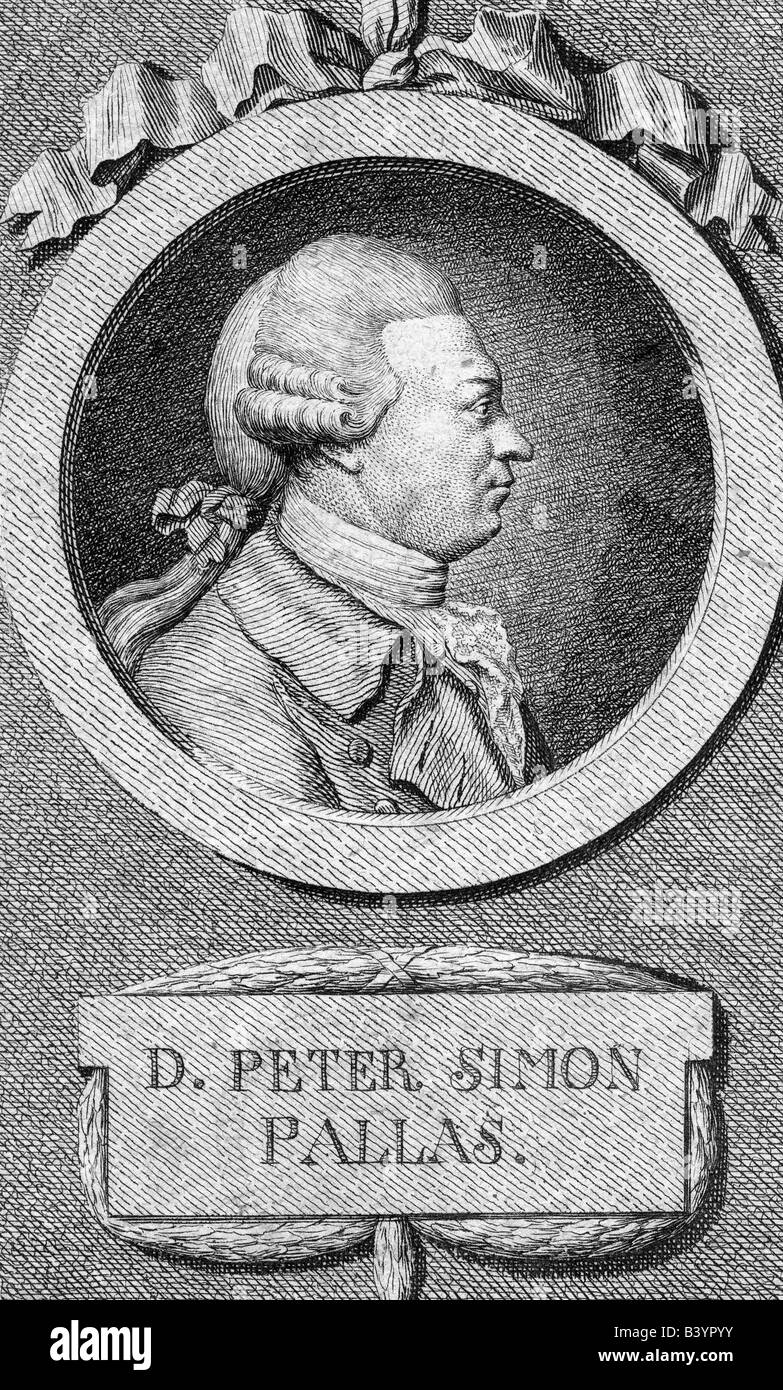 Peter simon pallas hi-res stock photography and images - Alamy