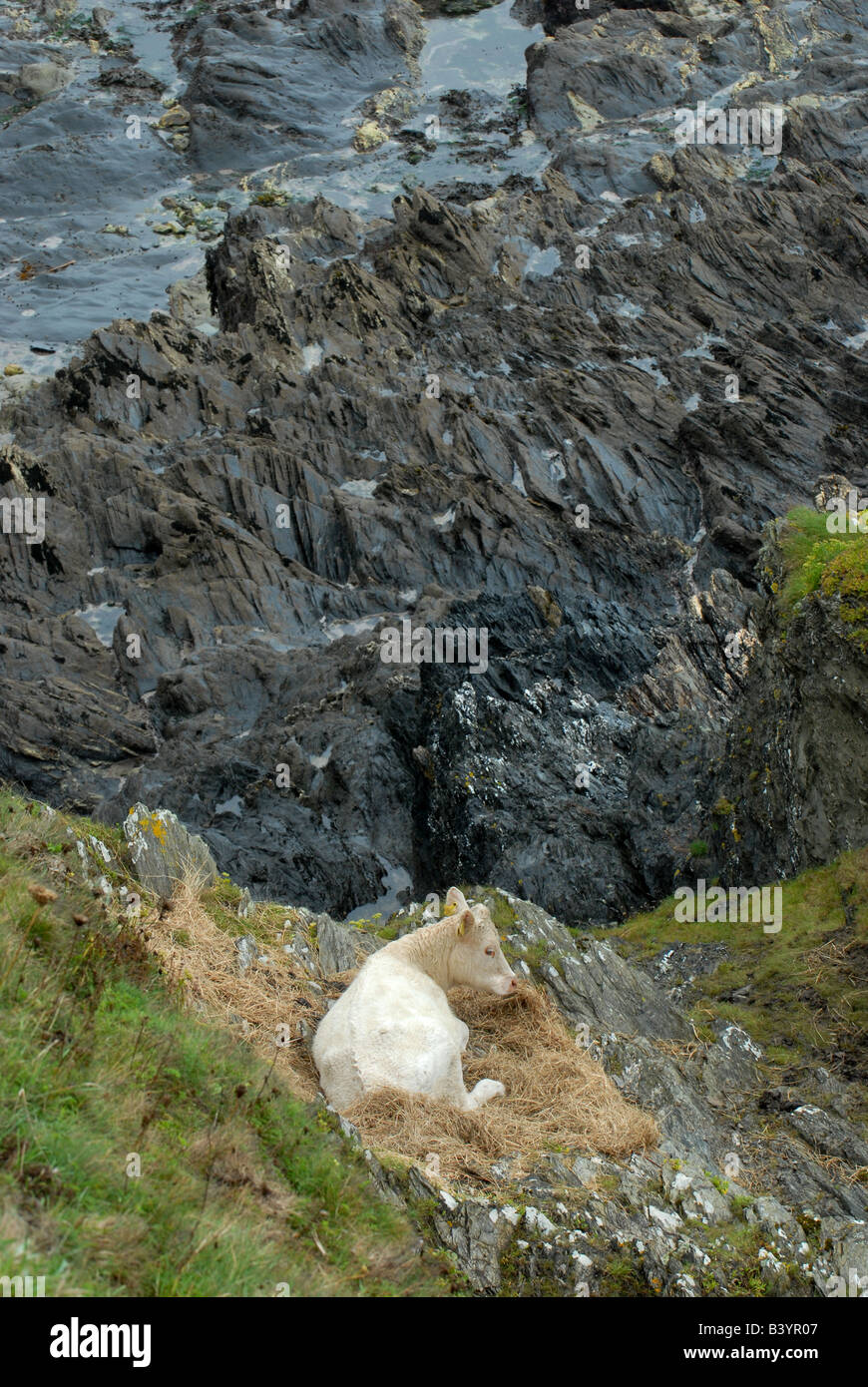 Stranded rope hi-res stock photography and images - Alamy