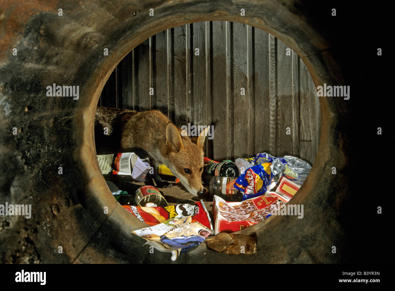 Fox city garbage hi-res stock photography and images - Alamy