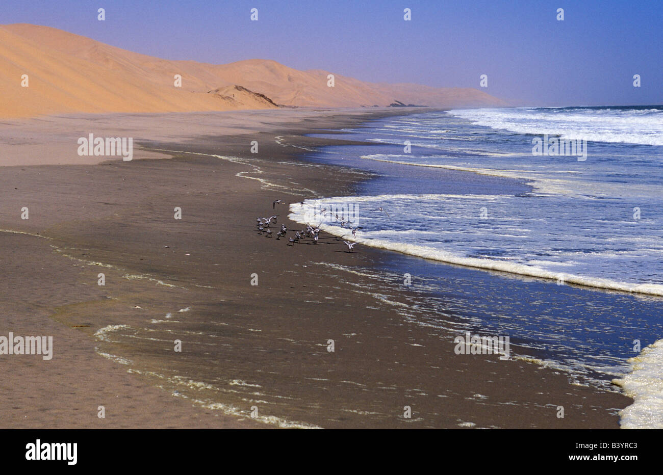 Namibia, Skeleton Coast, Sandwich Bay. Waves breaking against sand ...