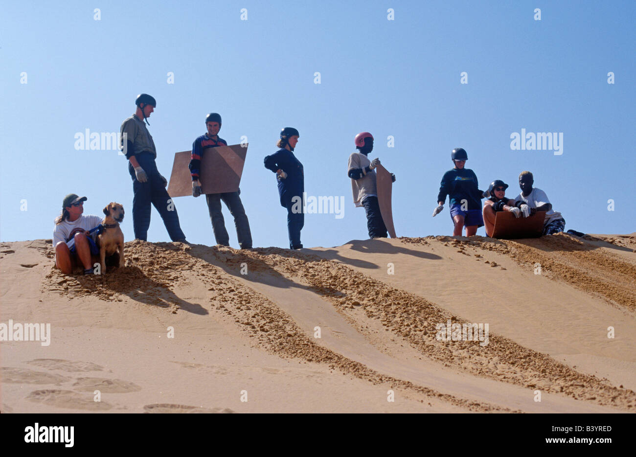 Namibia, Namib Naukluft Park, Swakopmund. Sand boarding on the sand dunes on the outskirts of ...