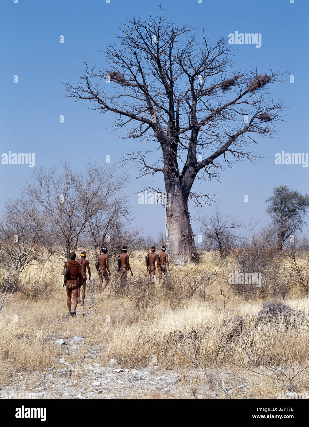 Kung tribe hi-res stock photography and images - Alamy