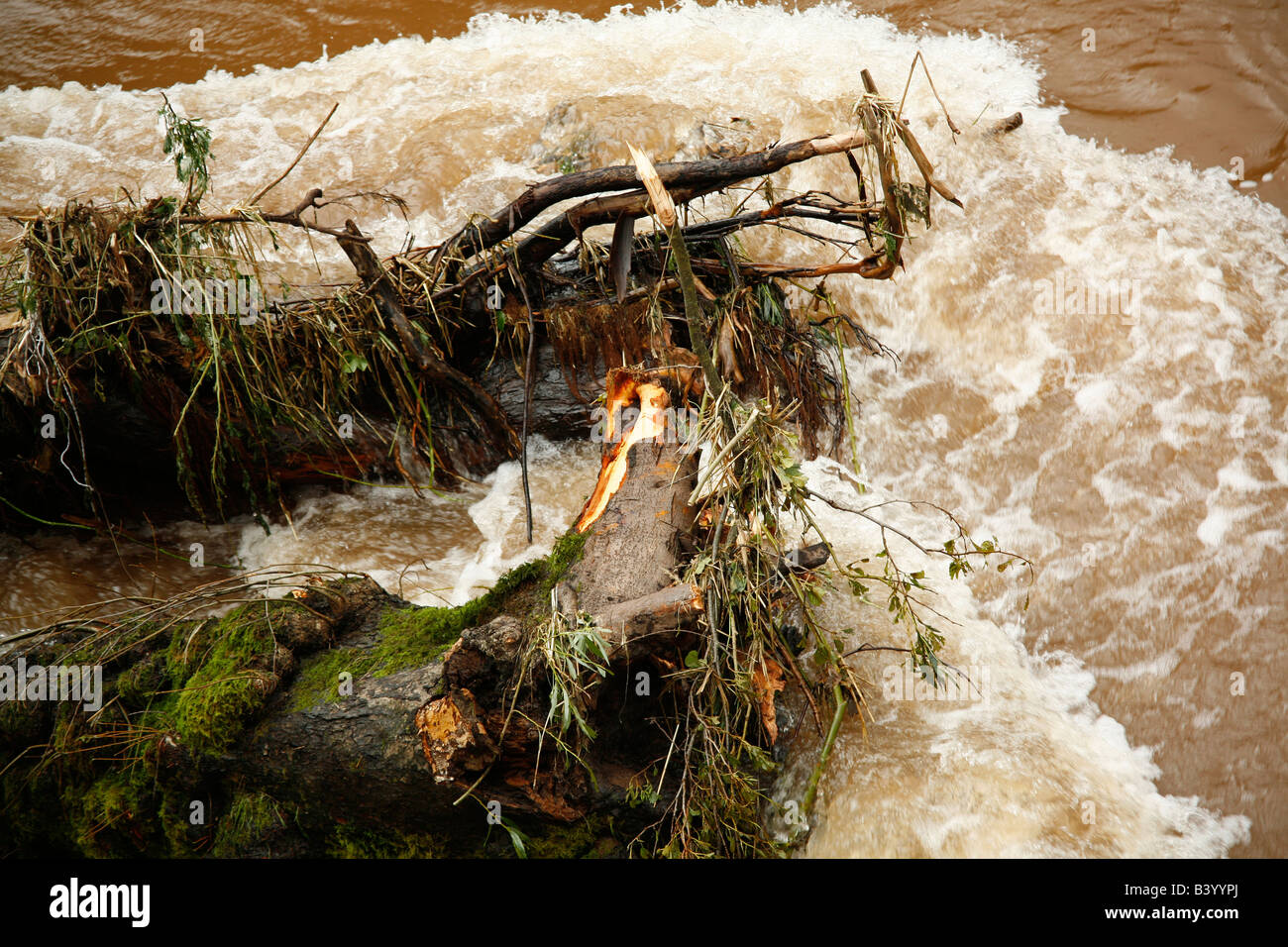 The river Usk in flood Stock Photo - Alamy
