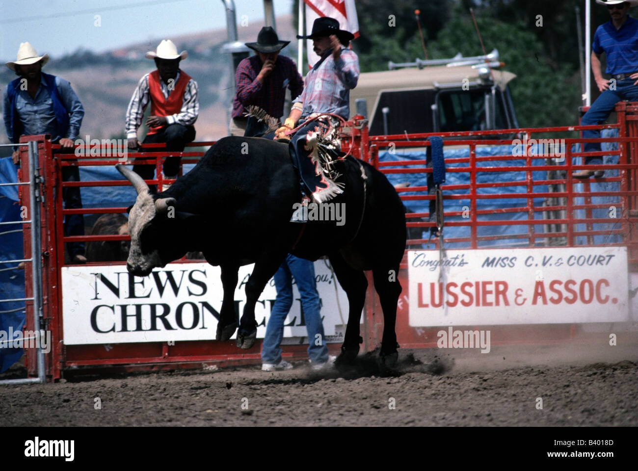 geography / travel, USA, California, people, rodeo, cruelty to animals ...