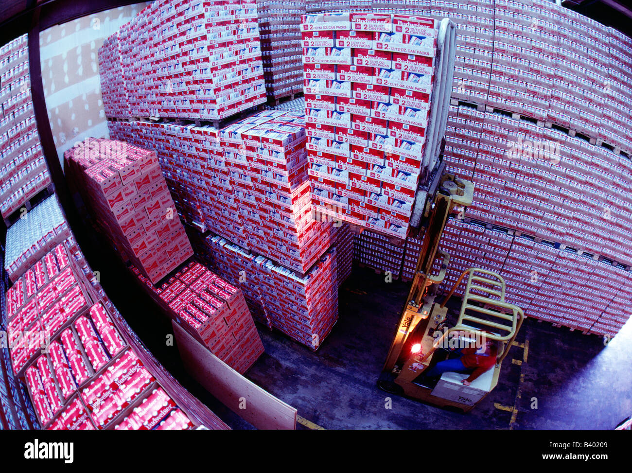 Wide angle view of a fork lift & huge stacks of cases of beer in a ...