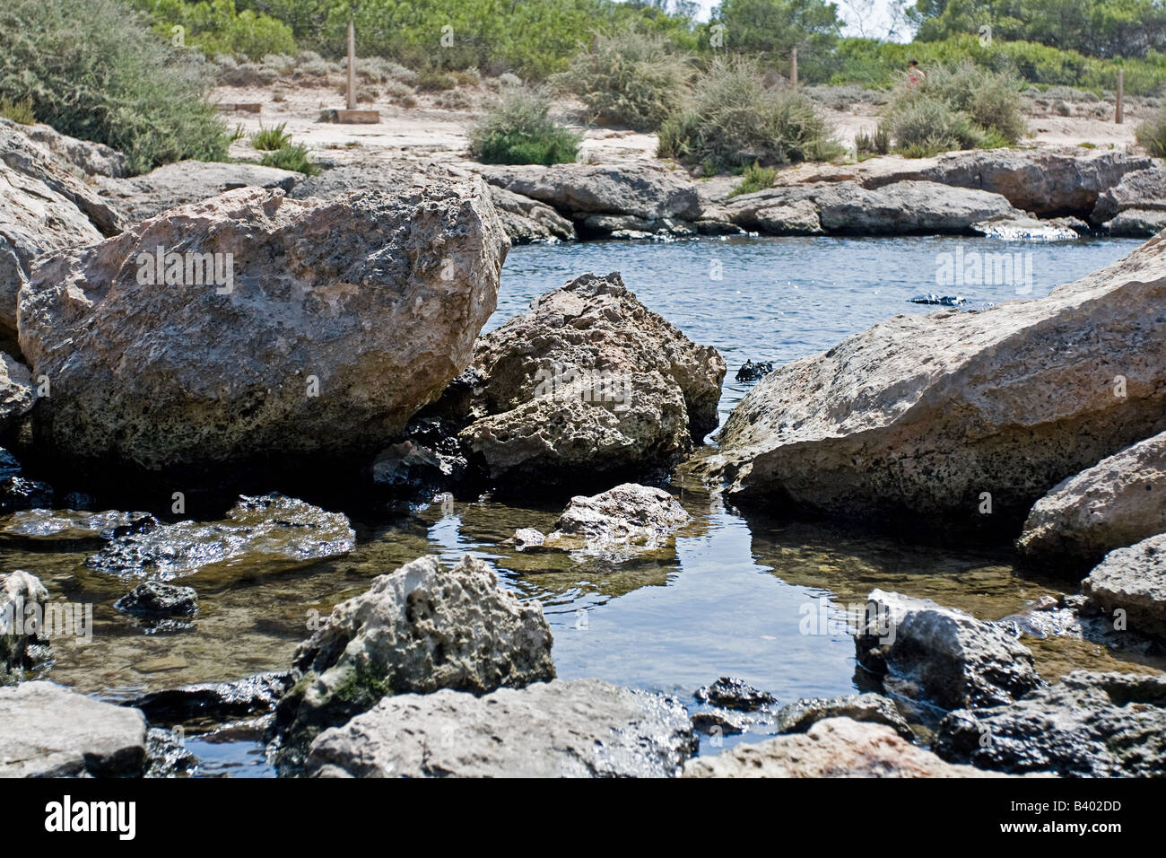 Rock pool in bright sunlight, southern Mallorca Stock Photo - Alamy