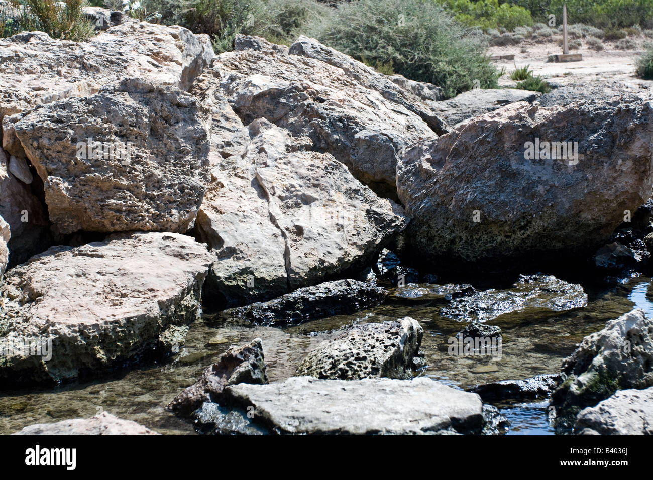 Rock pool in bright sunlight, southern Mallorca Stock Photo - Alamy