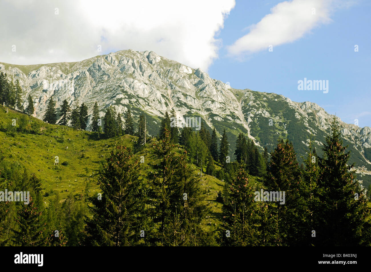 Austria Upper Austria Almtal valley Lake Alm Stock Photo - Alamy