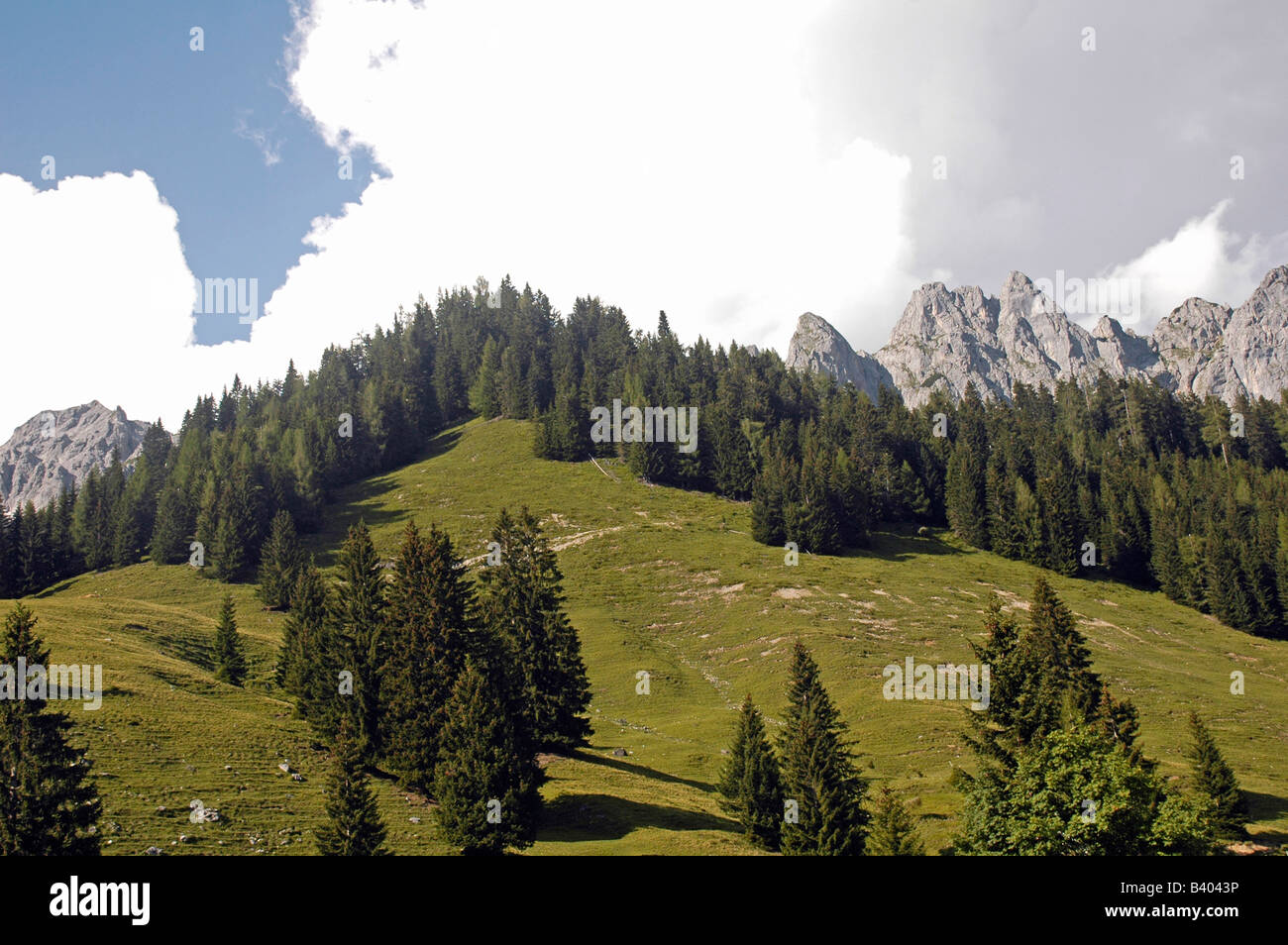 Austria Upper Austria Almtal valley Lake Alm Stock Photo - Alamy